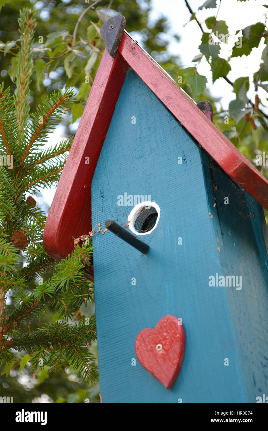 Modern blue and red painted bird house with a wooden heart and pine ...