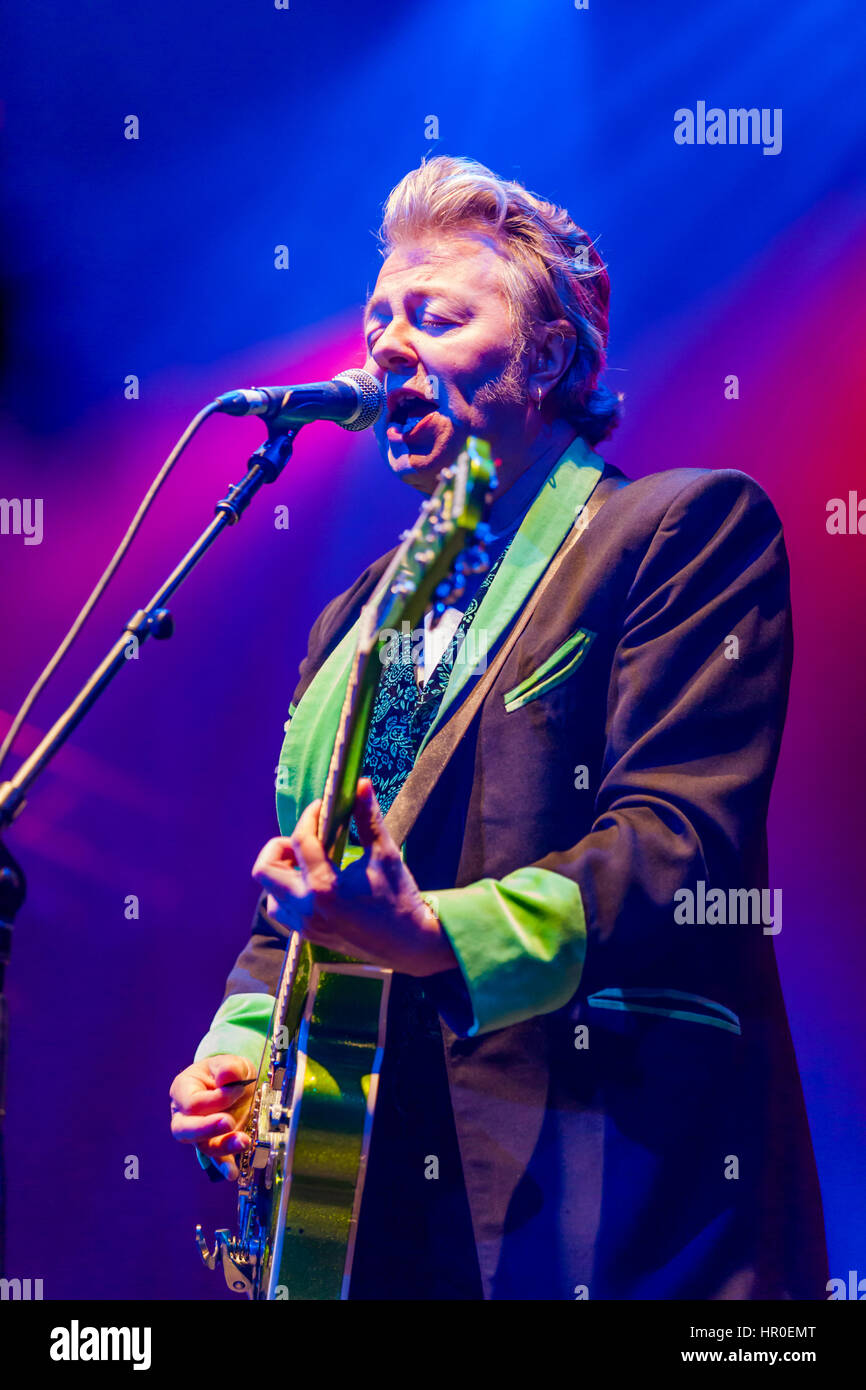 Stray cats band hi-res stock photography and images - Alamy