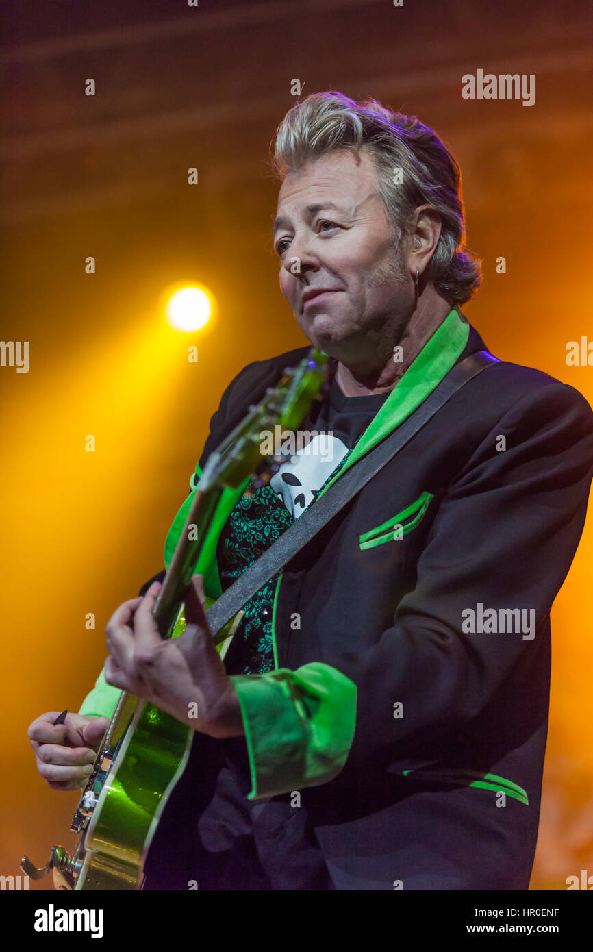 Stray cats band hi-res stock photography and images - Alamy