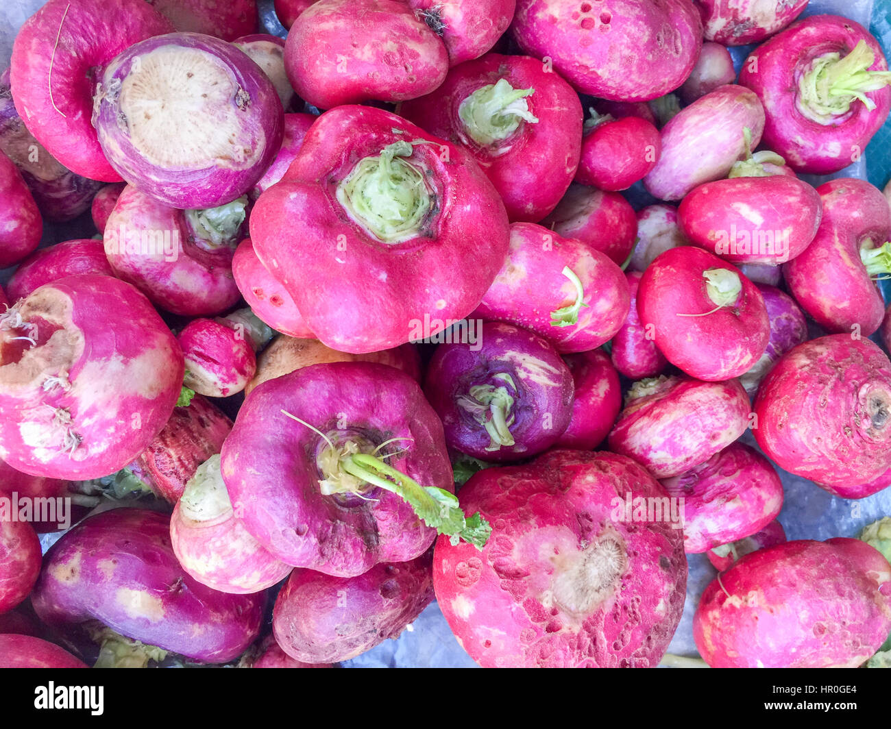 Early turnip hi-res stock photography and images - Alamy