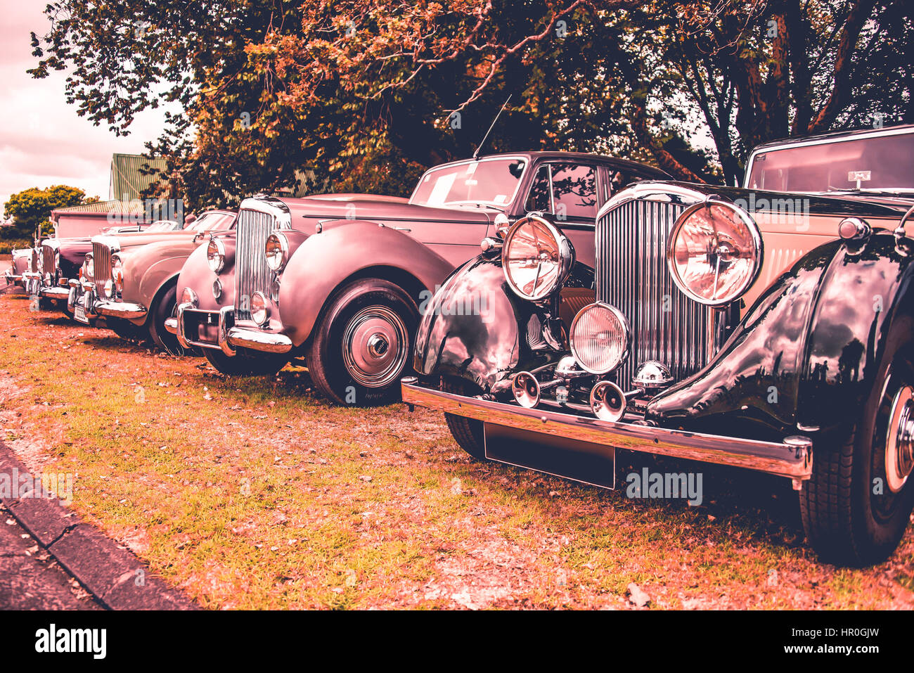 Classic cars line up hi-res stock photography and images - Alamy