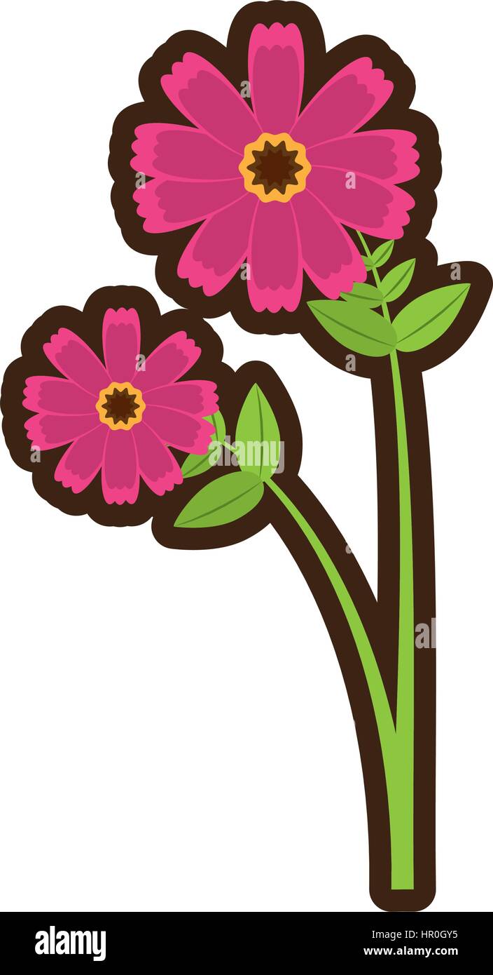 cartoon pink cosmos flower spring icon Stock Vector Image & Art - Alamy