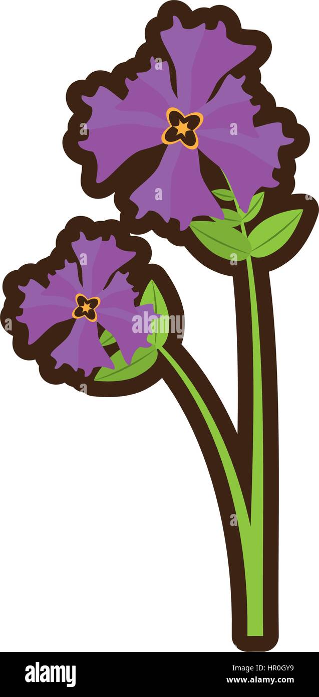 cartoon iris flower garden botanical Stock Vector Image & Art - Alamy
