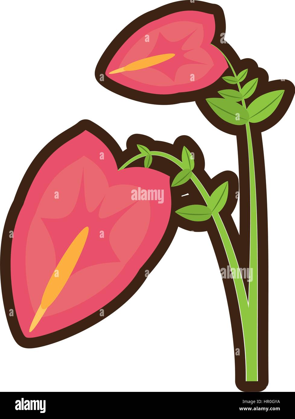 cartoon anthurium leaf plant exotic Stock Vector Image & Art - Alamy