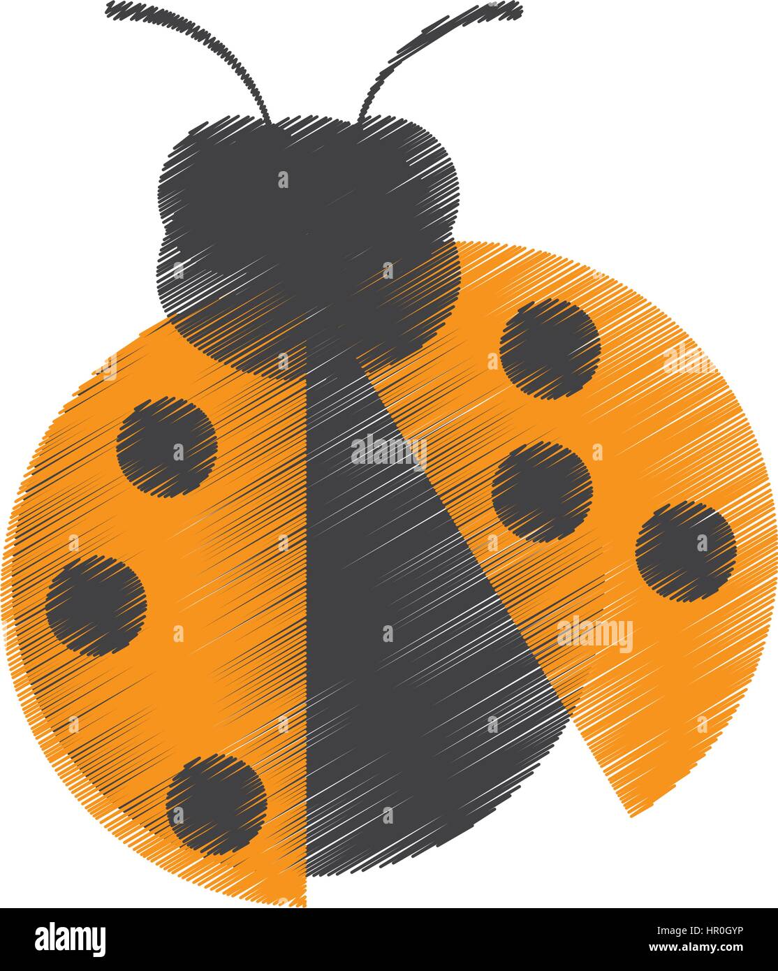 drawing yellow ladybug animal insect garden vector illustration eps 10 ...