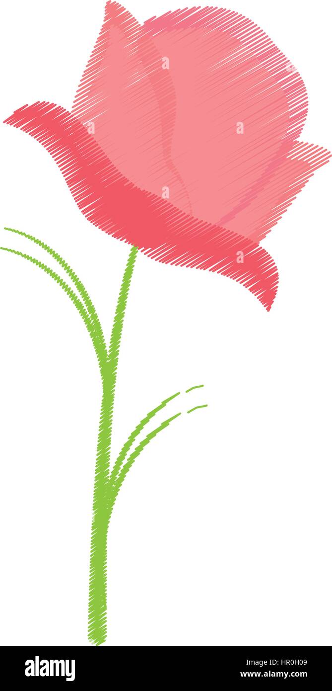 drawing pink rose flower spring Stock Vector Image & Art - Alamy