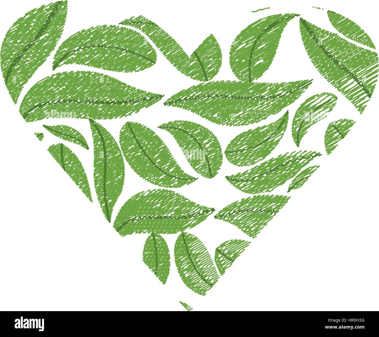 drawing green leaves shape heart Stock Vector Image & Art - Alamy