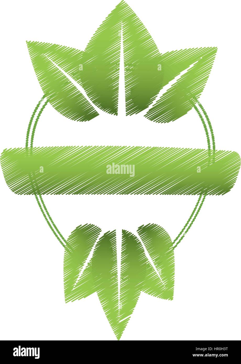 drawing green leaves natural label Stock Vector Image & Art - Alamy