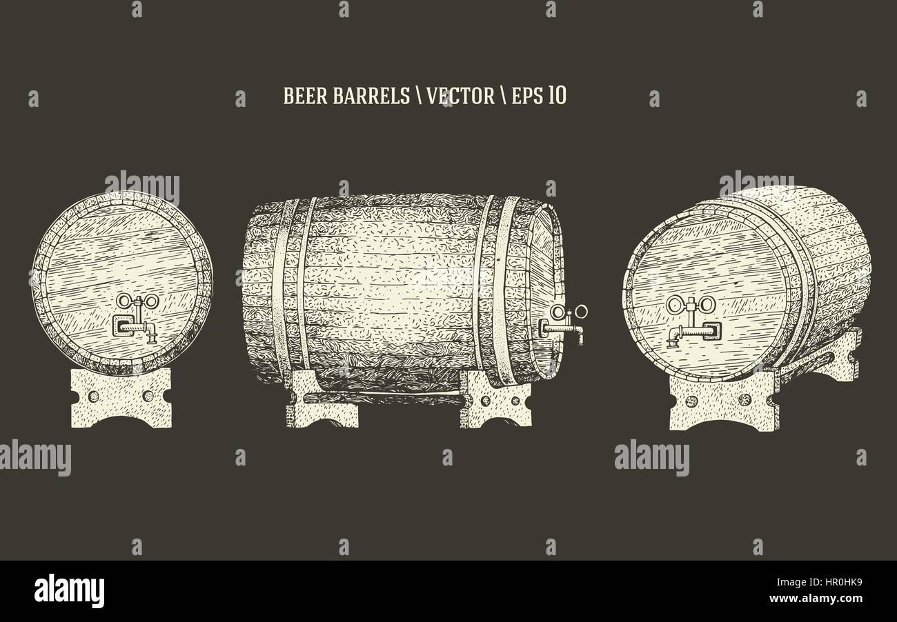 Vector hand drawn beer barrels. Illustration set. Vintage Stock Vector ...