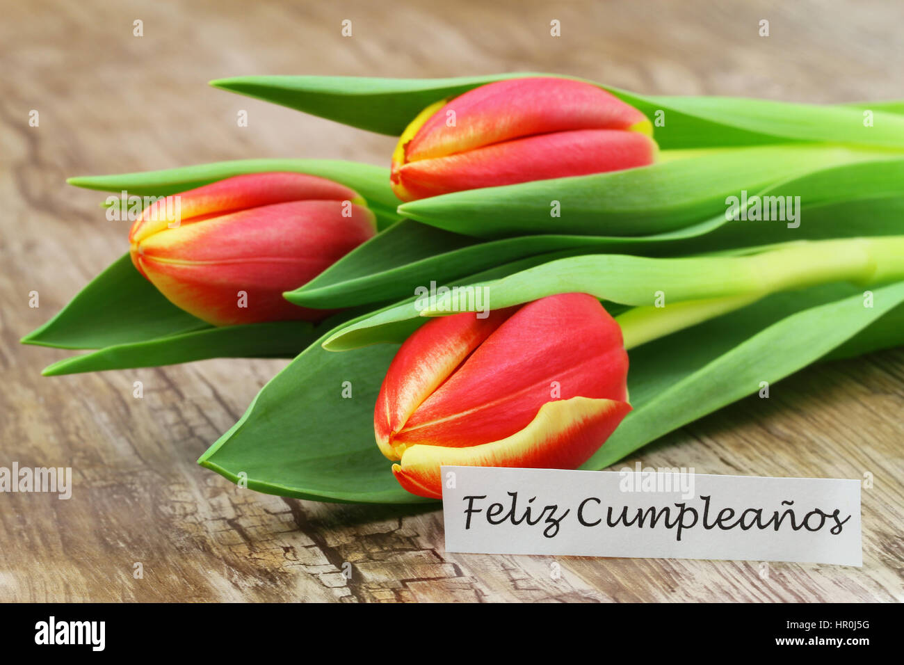 Feliz cumpleanos means happy birthday hi-res stock photography and ...
