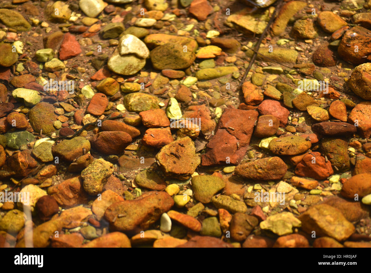 Stones in the river underwater view Stock Photo - Alamy