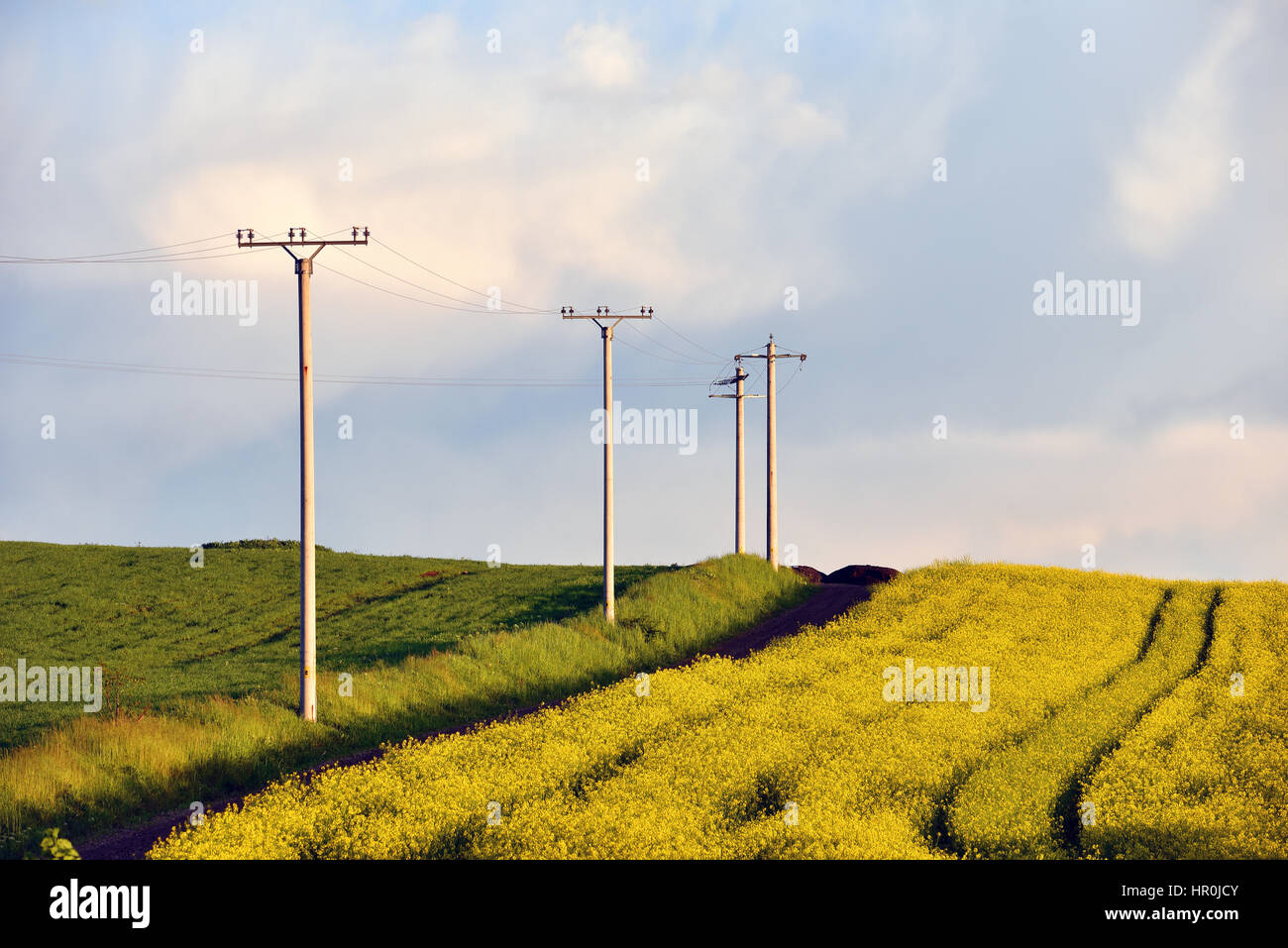 Electricity poles in an agricultural field Stock Photo - Alamy