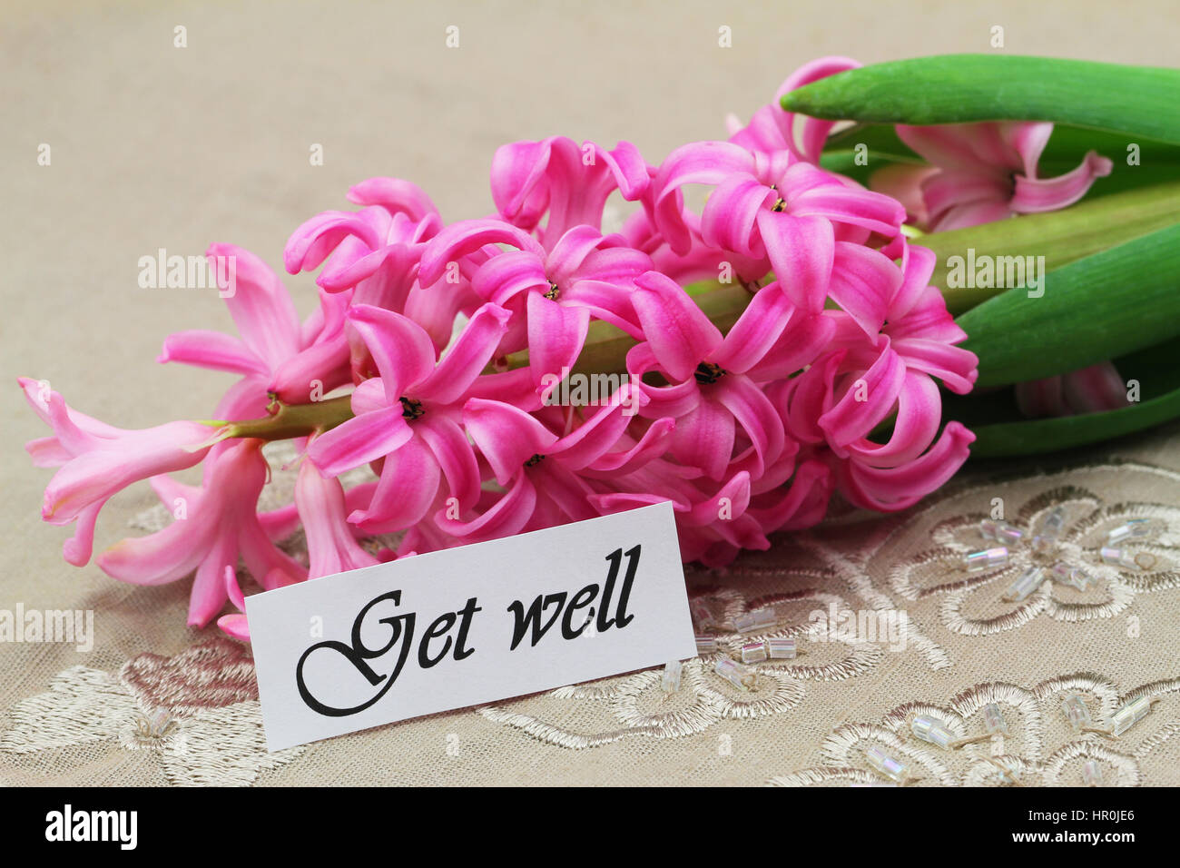 Get well card with pink hyacinth Get well card with pink hyacinth Stock ...