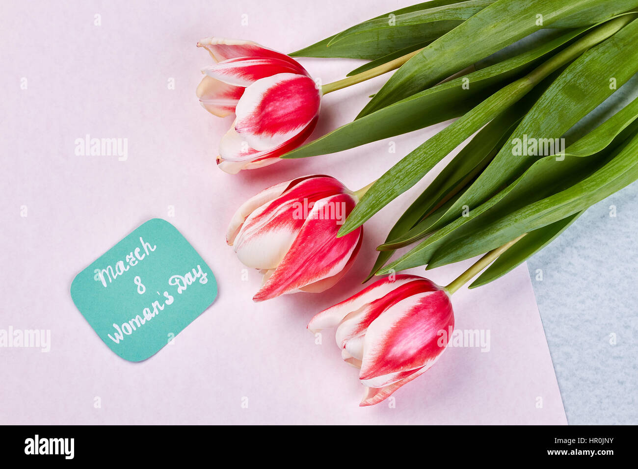 Spring flowers and greeting card. 8 March and Women's day Stock Photo ...