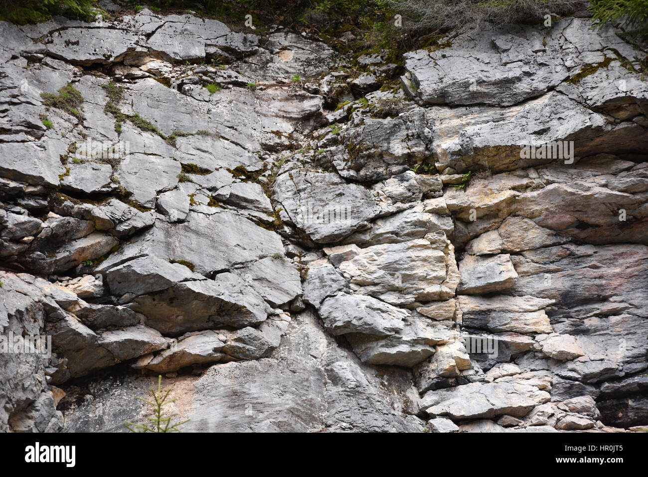 Geological fault in a limestone rock wall Stock Photo - Alamy