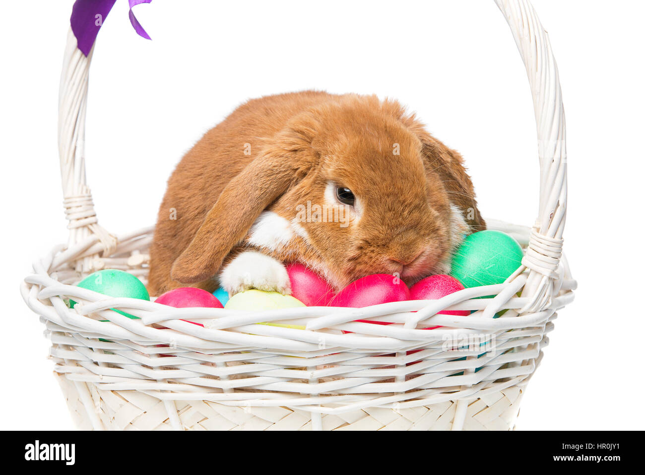 Beautiful domestic rabbit in basket with eggs Stock Photo - Alamy