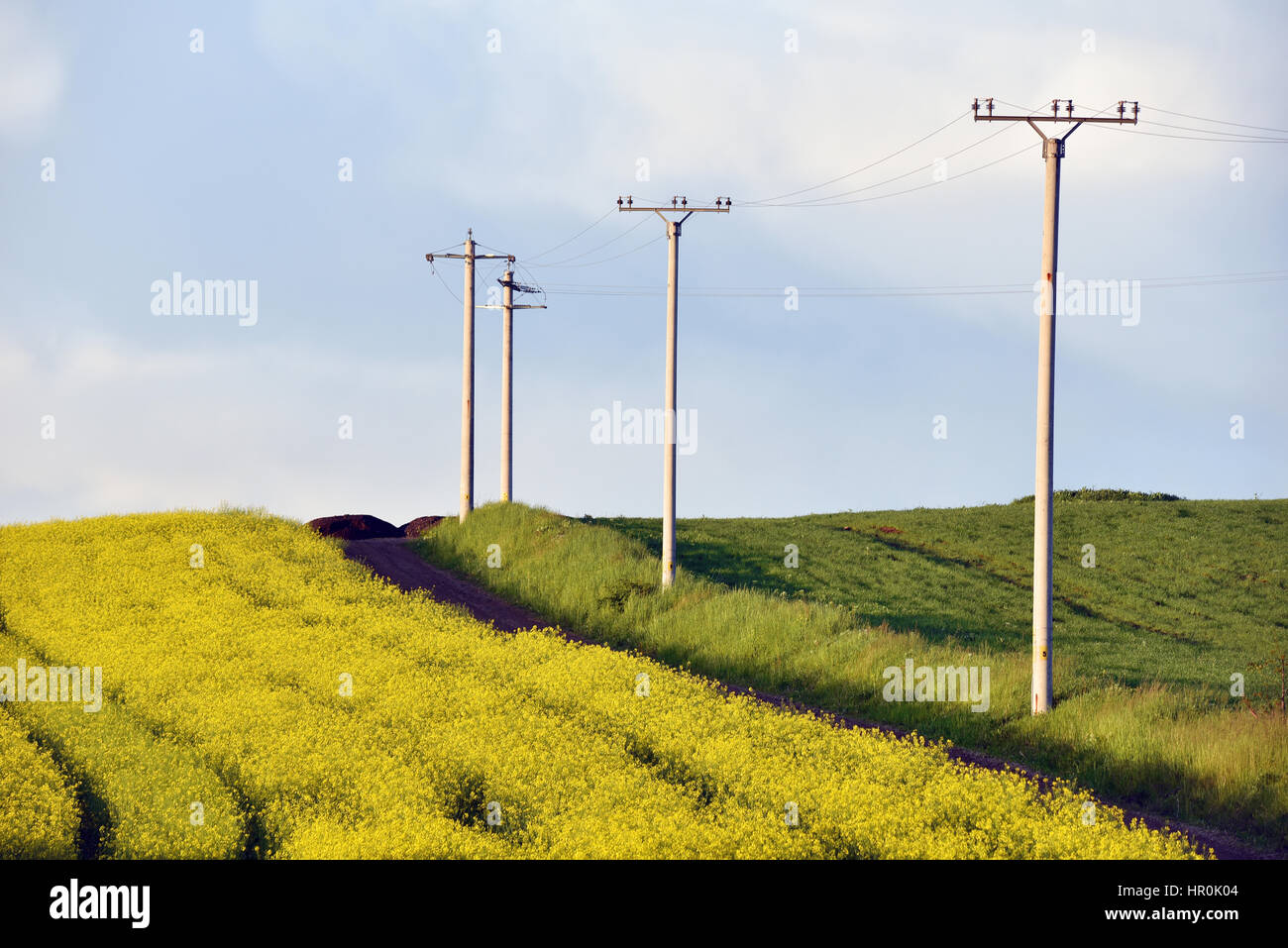 Electricity poles in an agricultural field Stock Photo - Alamy