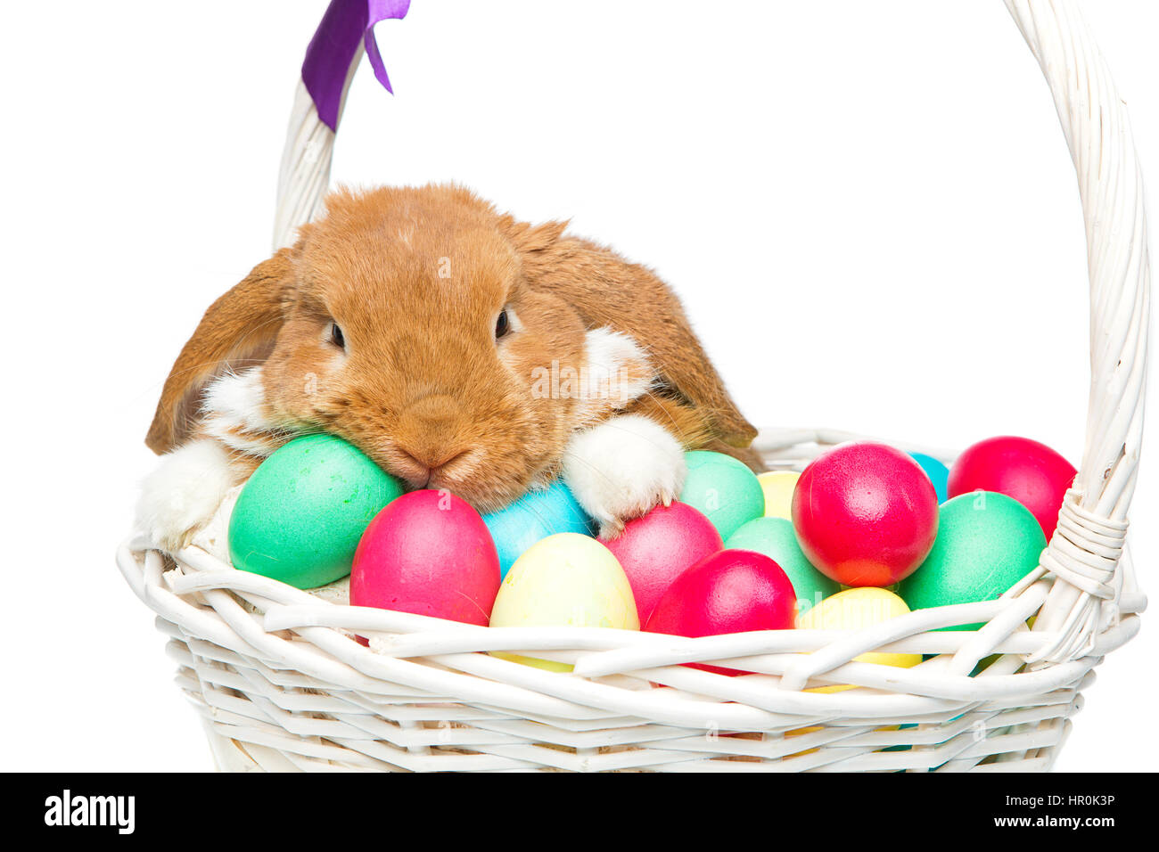 Beautiful domestic rabbit in basket with eggs Stock Photo - Alamy