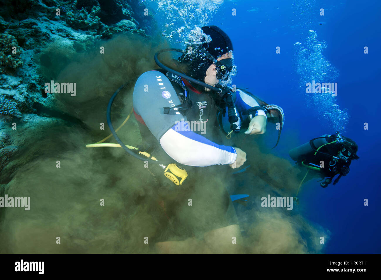 Reef octopus releasing ink hi-res stock photography and images - Alamy