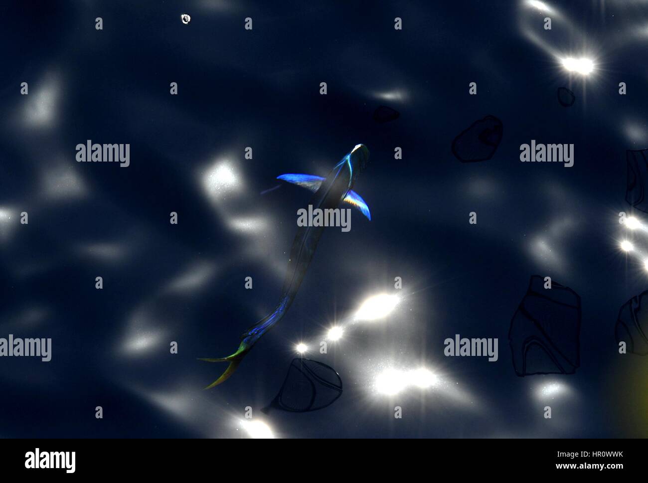 Beijing, USA drilling ship JOIDES Resolution during an expedition to ...
