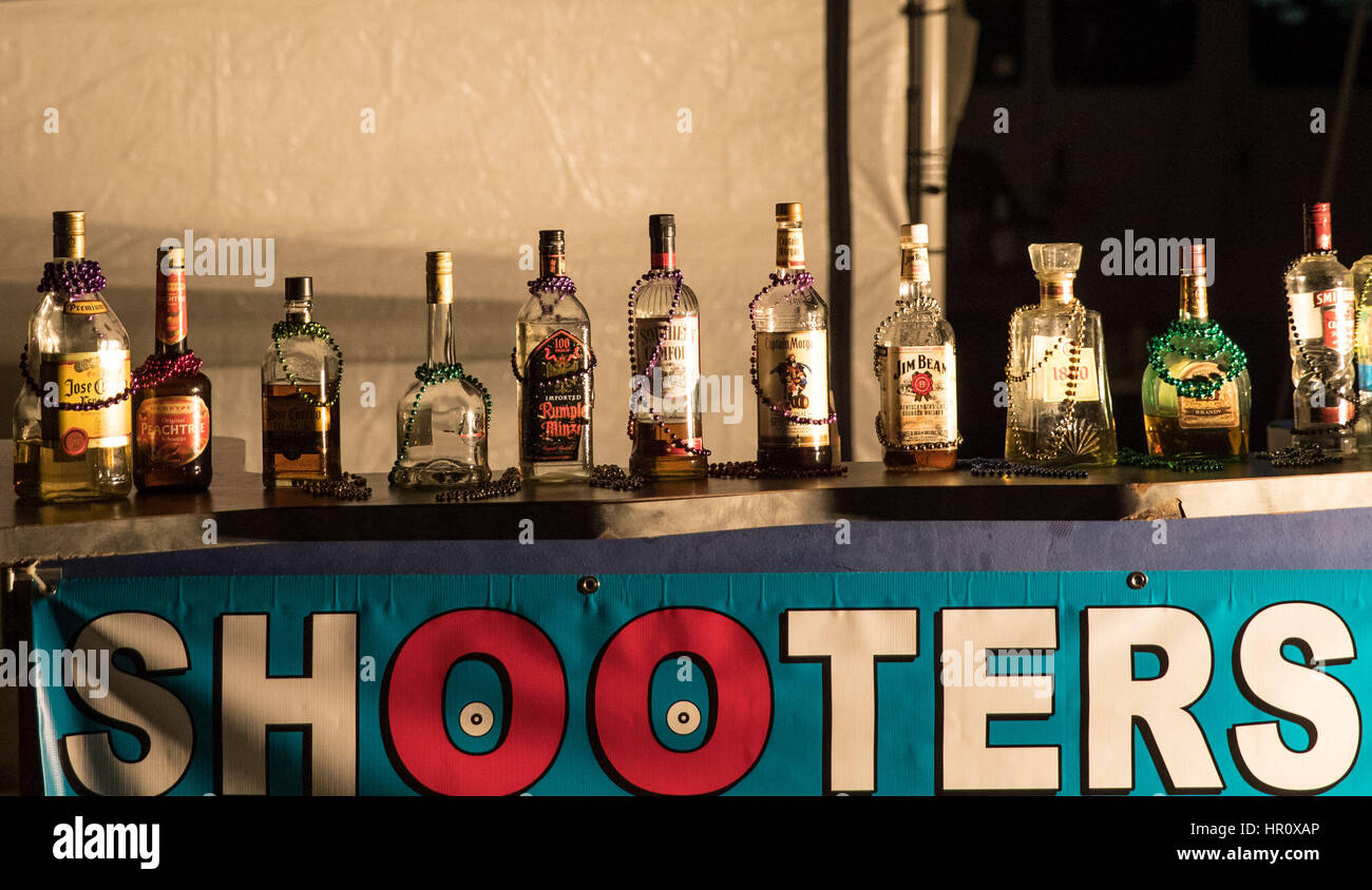 Florida, USA. 25th Feb, 2017. Alcohol is seen displayed on the infield ...