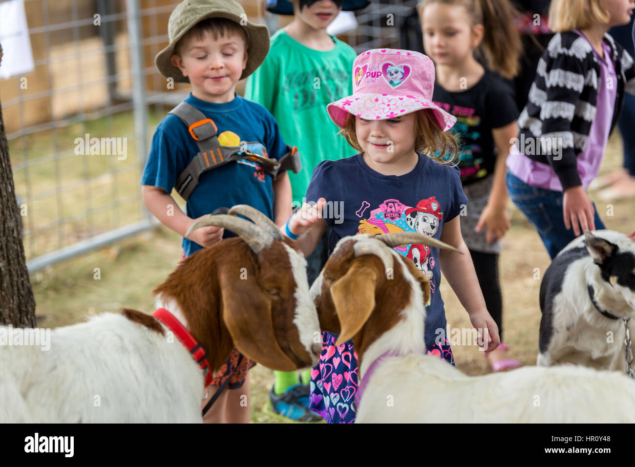 Canberra, Australia. 25th Feb, 2015. Children play with farm animals at ...