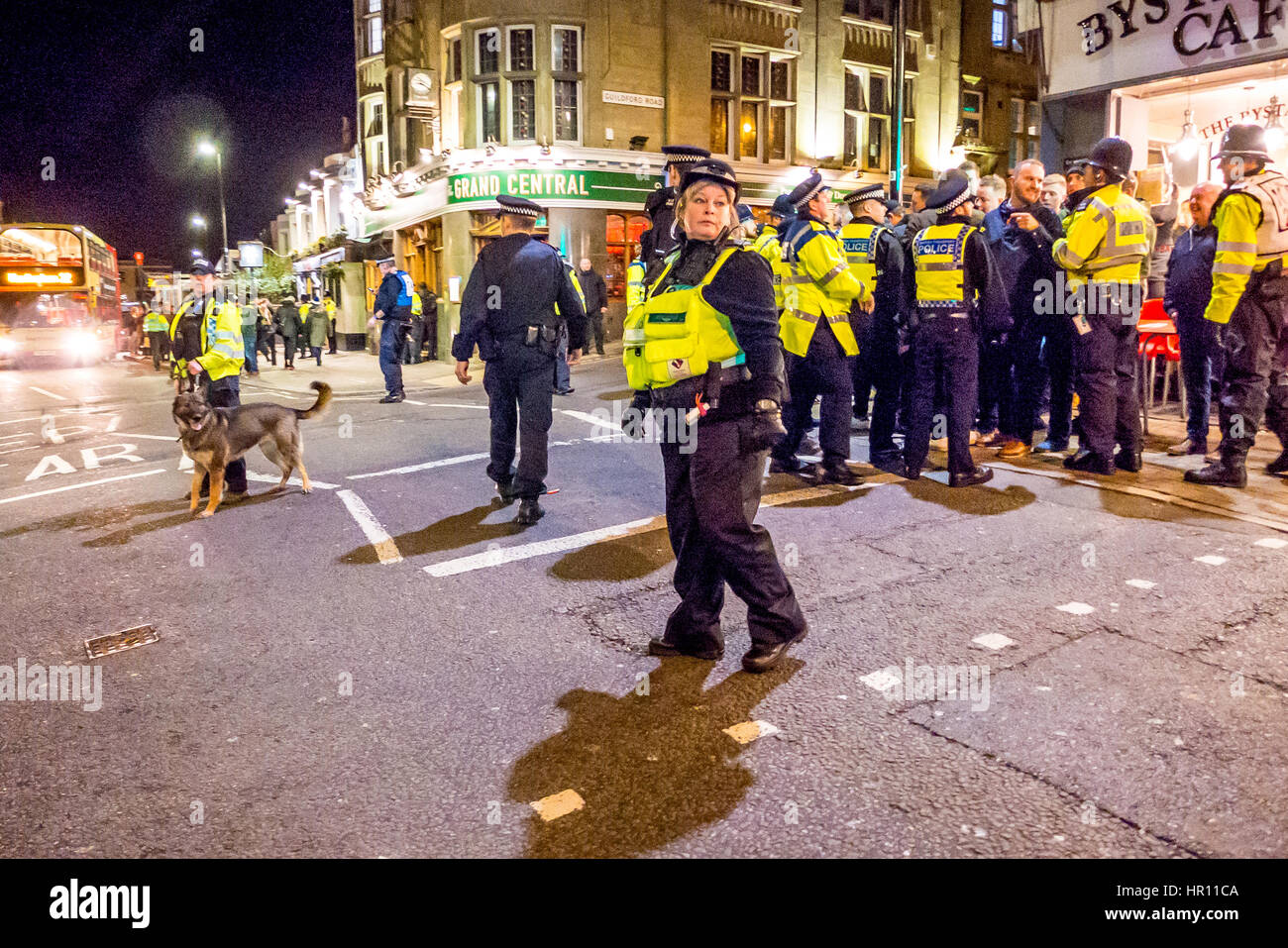 Brighton, UK. 25th February 2017. Police officers and dogs calm down a ...