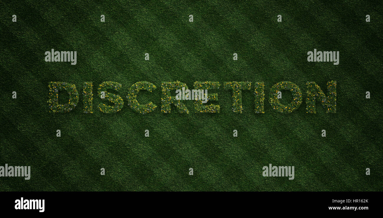 DISCRETION - fresh Grass letters with flowers and dandelions - 3D ...