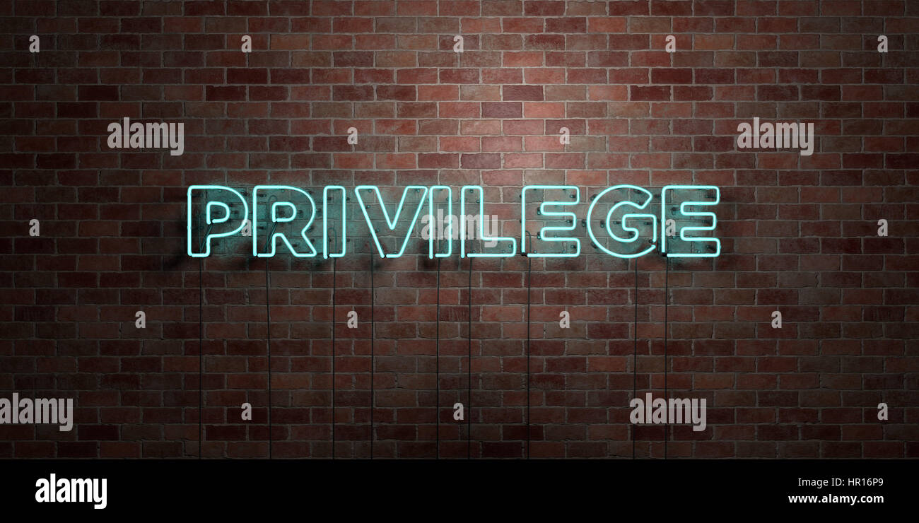 PRIVILEGE - fluorescent Neon tube Sign on brickwork - Front view - 3D ...
