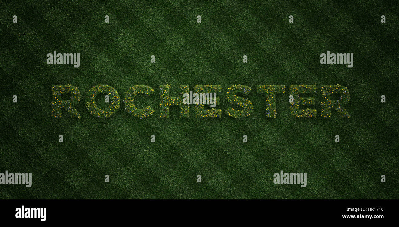 ROCHESTER - fresh Grass letters with flowers and dandelions - 3D ...