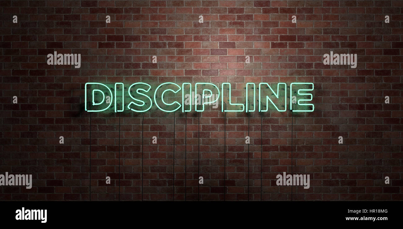 DISCIPLINE - fluorescent Neon tube Sign on brickwork - Front view - 3D ...