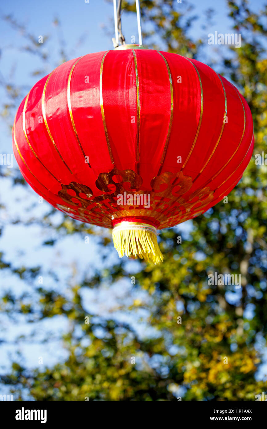 Beautiful vibrant red Chinese lanterns to celebrate Asian / Chinese New ...
