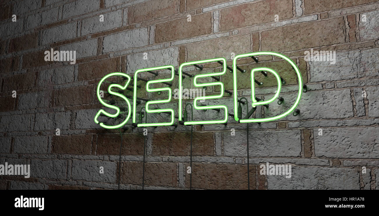 SEED - Glowing Neon Sign on stonework wall - 3D rendered royalty free ...