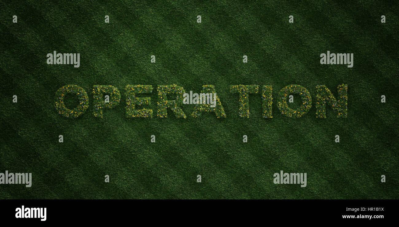 OPERATION - fresh Grass letters with flowers and dandelions - 3D ...