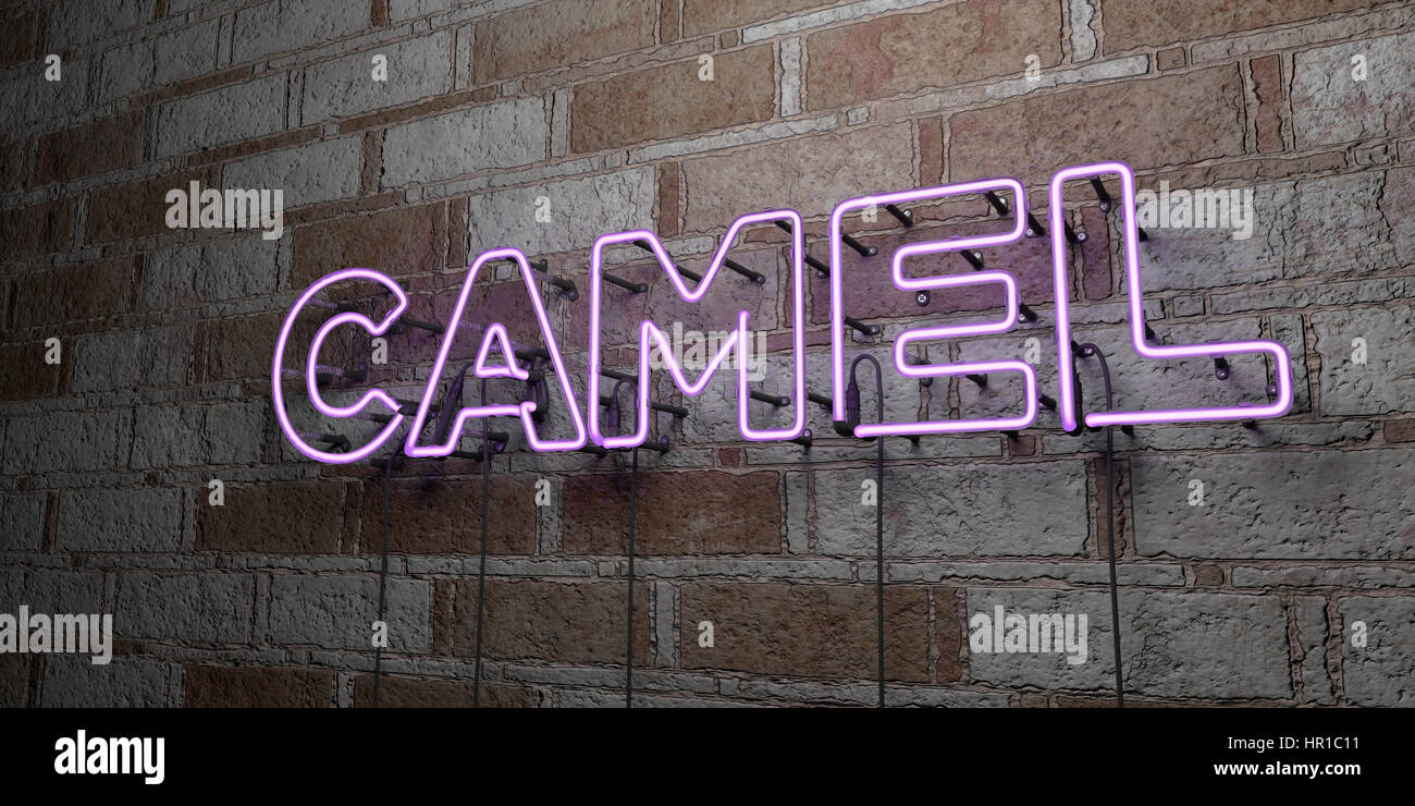 CAMEL - Glowing Neon Sign on stonework wall - 3D rendered royalty free ...
