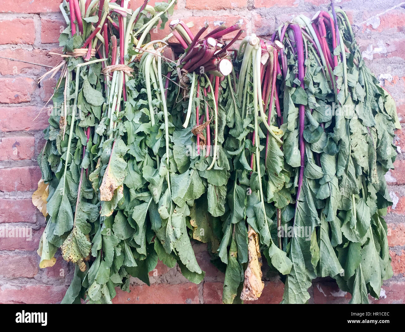 Dried turnip leaves Stock Photo - Alamy
