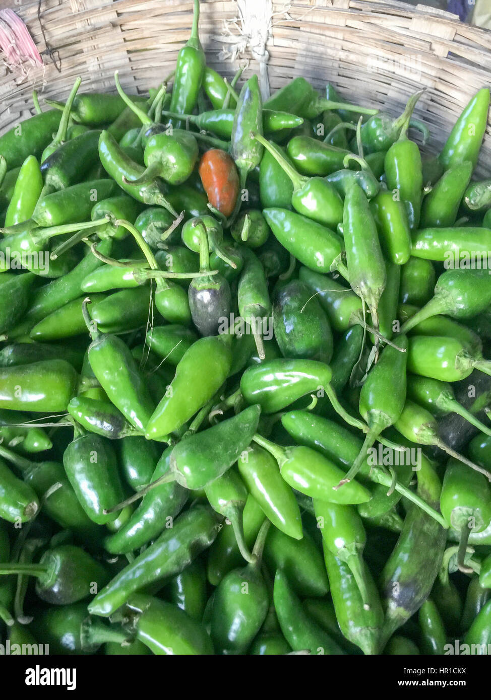 Fresh Green chilli Stock Photo - Alamy