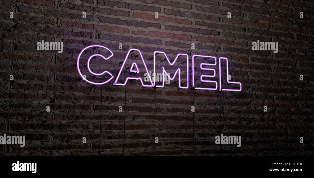 CAMEL -Realistic Neon Sign on Brick Wall background - 3D rendered ...