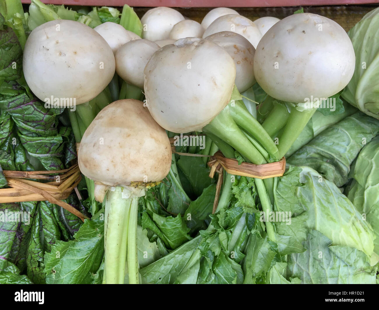 Raw beetroots and turnips hi-res stock photography and images - Alamy