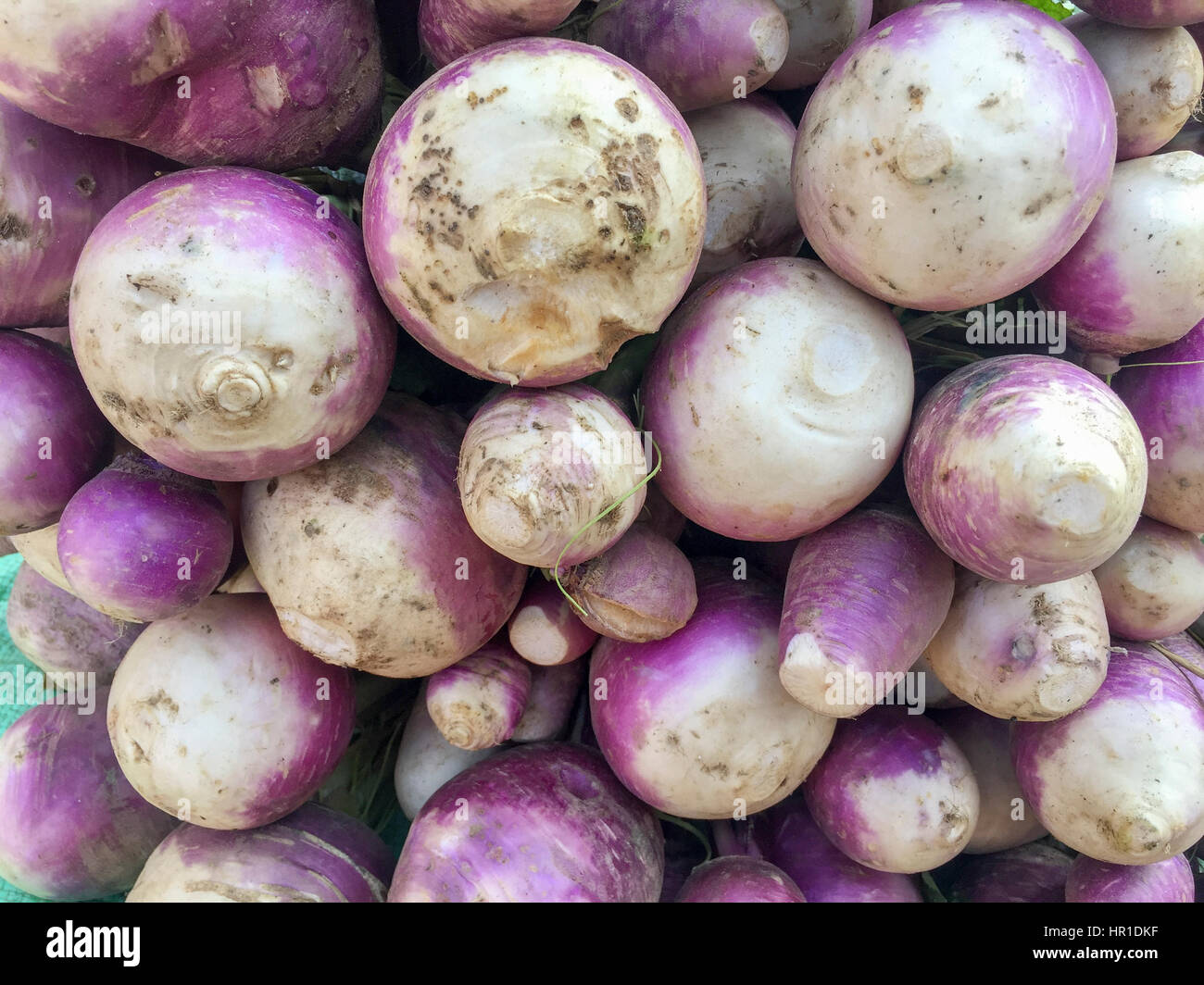 Purple turnips on market display Stock Photo - Alamy