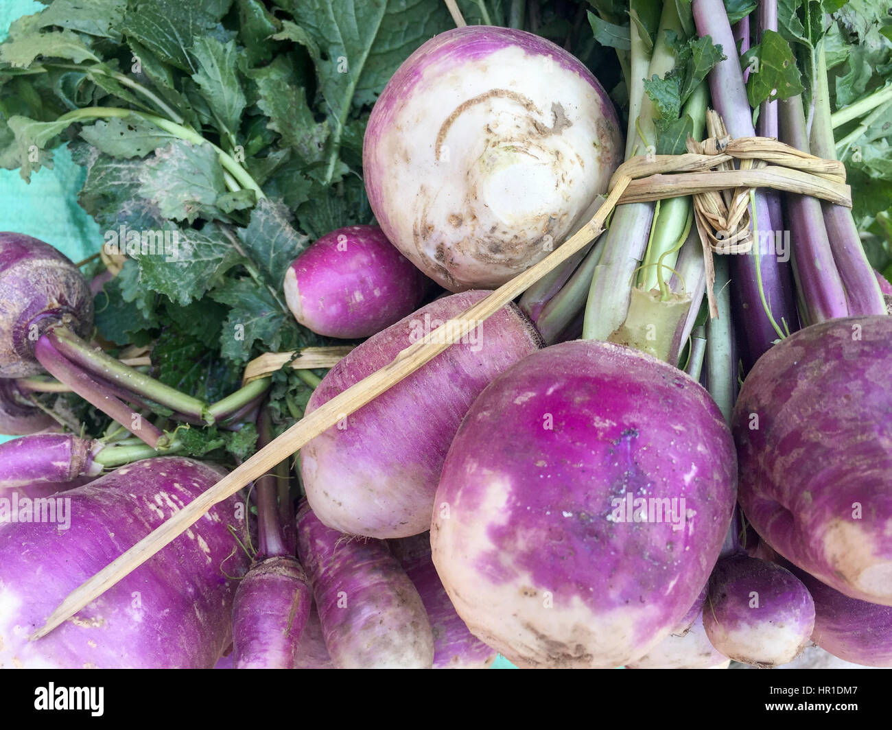 Purple turnips on market display Stock Photo - Alamy