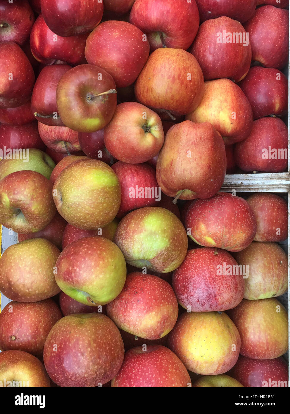 Nepal red apples Stock Photo - Alamy