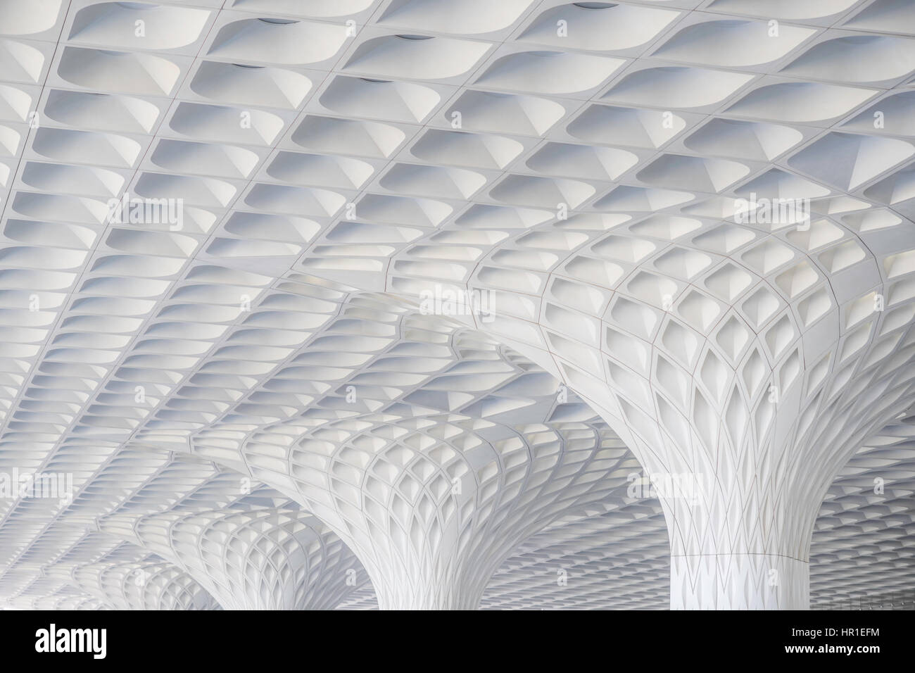 The white columns of Mumbai International Airport, Terminal 2 Stock ...