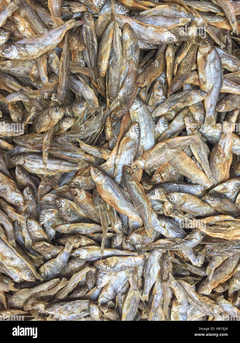 Dried freshwater fish Stock Photo - Alamy