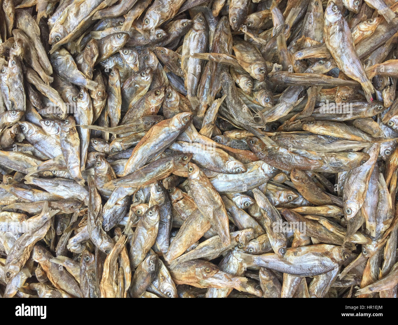 Dried freshwater fish Stock Photo - Alamy