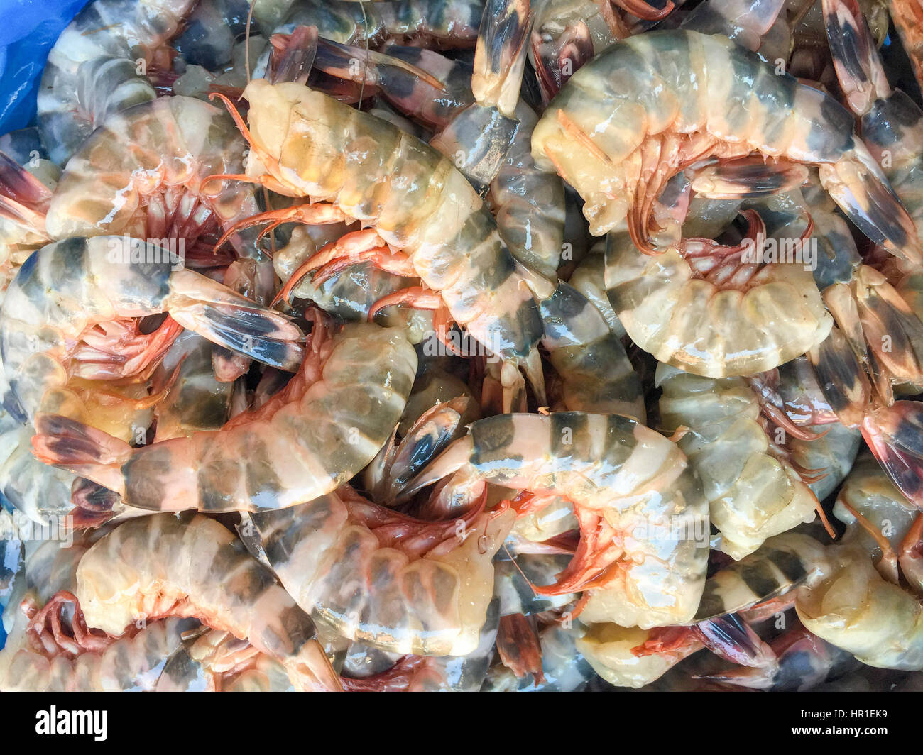 Prawn harvest hi-res stock photography and images - Alamy