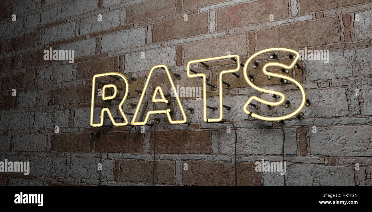 RATS - Glowing Neon Sign on stonework wall - 3D rendered royalty free ...