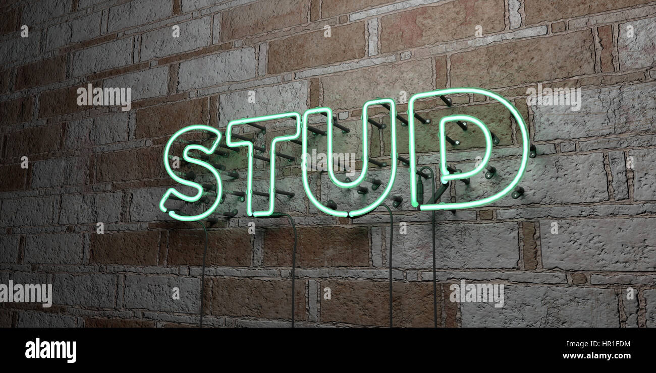 STUD - Glowing Neon Sign on stonework wall - 3D rendered royalty free ...