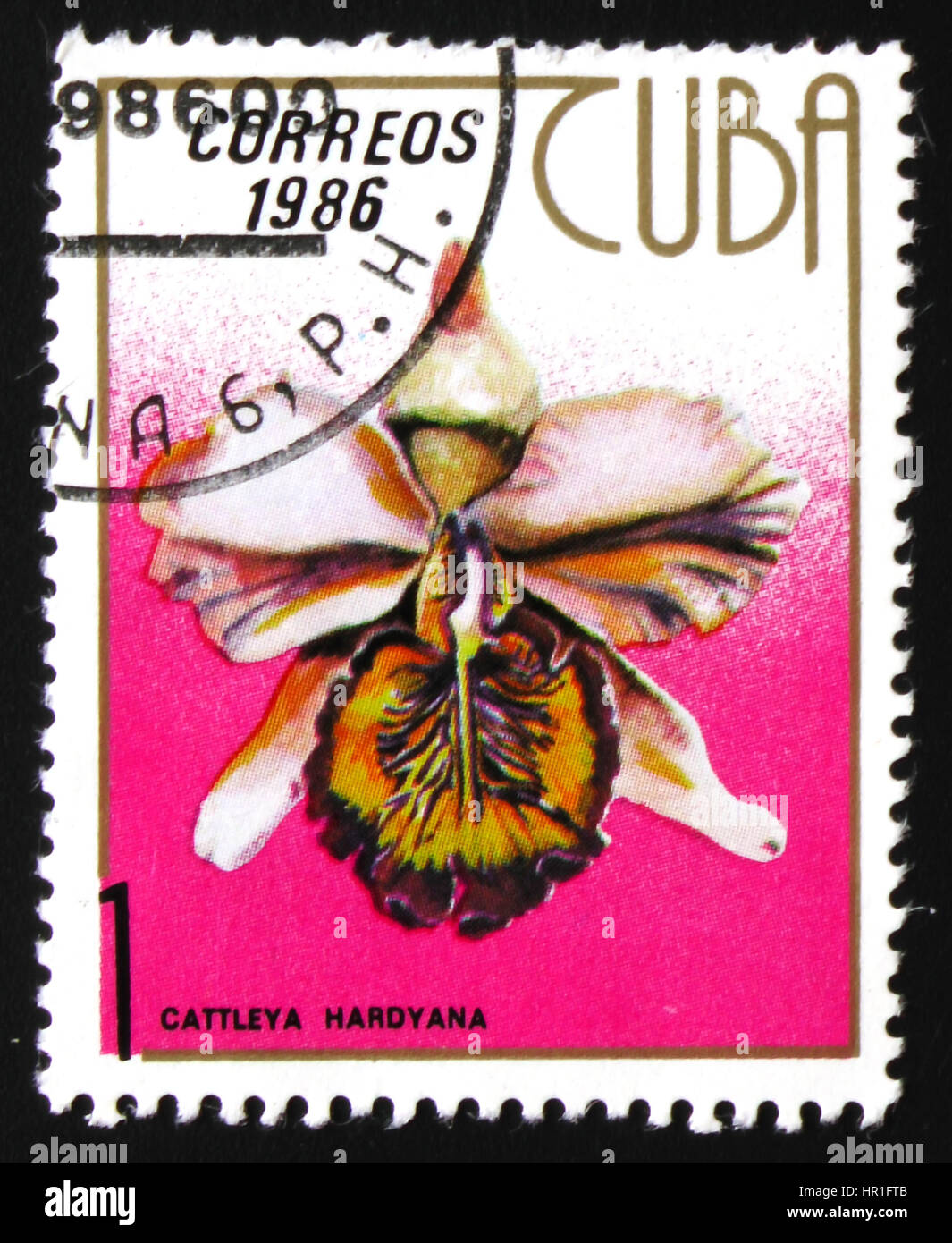 National Flower Of Cuba Stock Photos & National Flower Of Cuba Stock ...