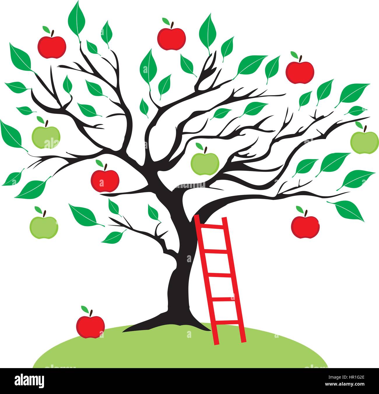 vector illustration of an apple tree with a ladder Stock Vector Image ...